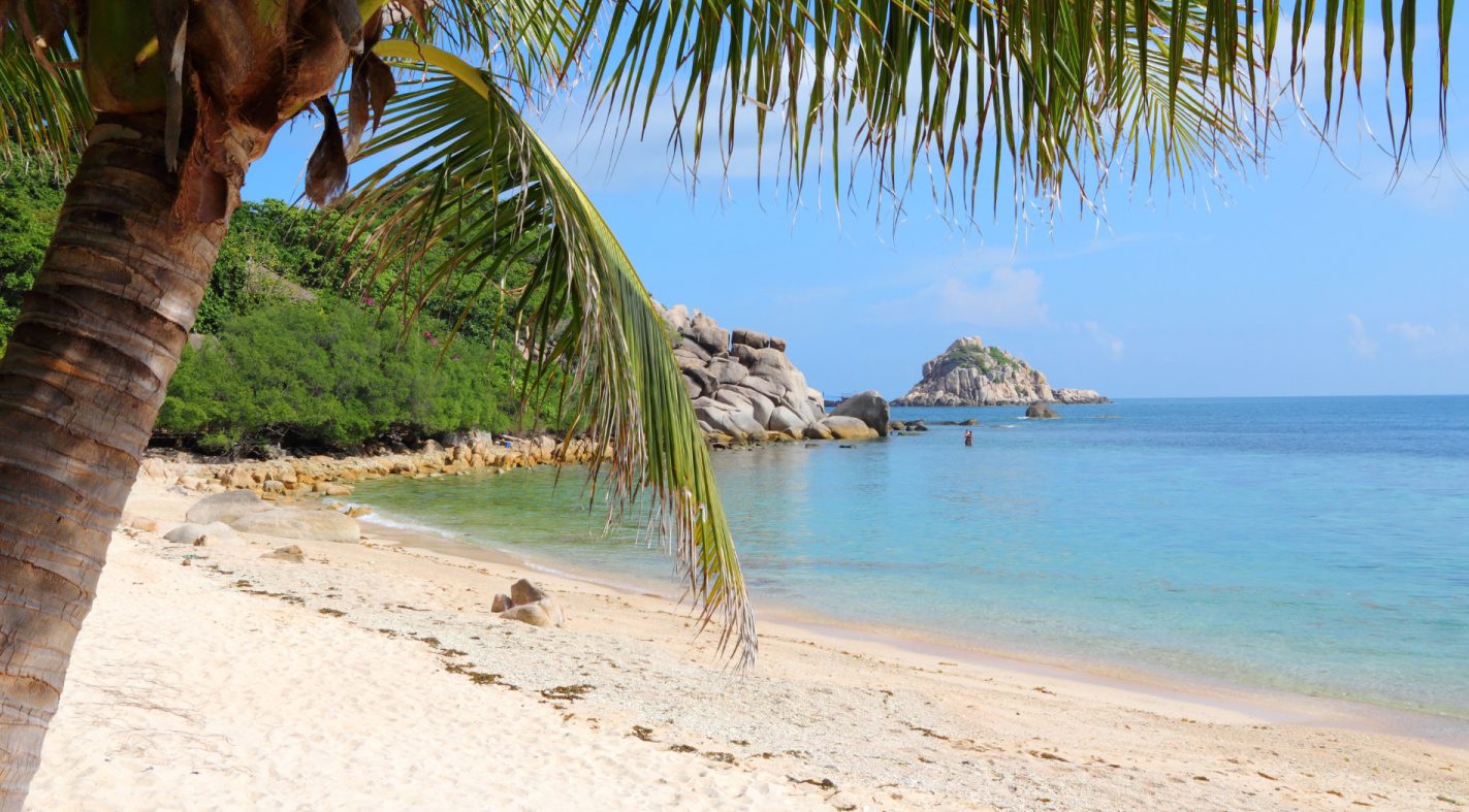 Best Beaches in Koh Tao for Diving, Parties, and Nightlife (2026 Guide)